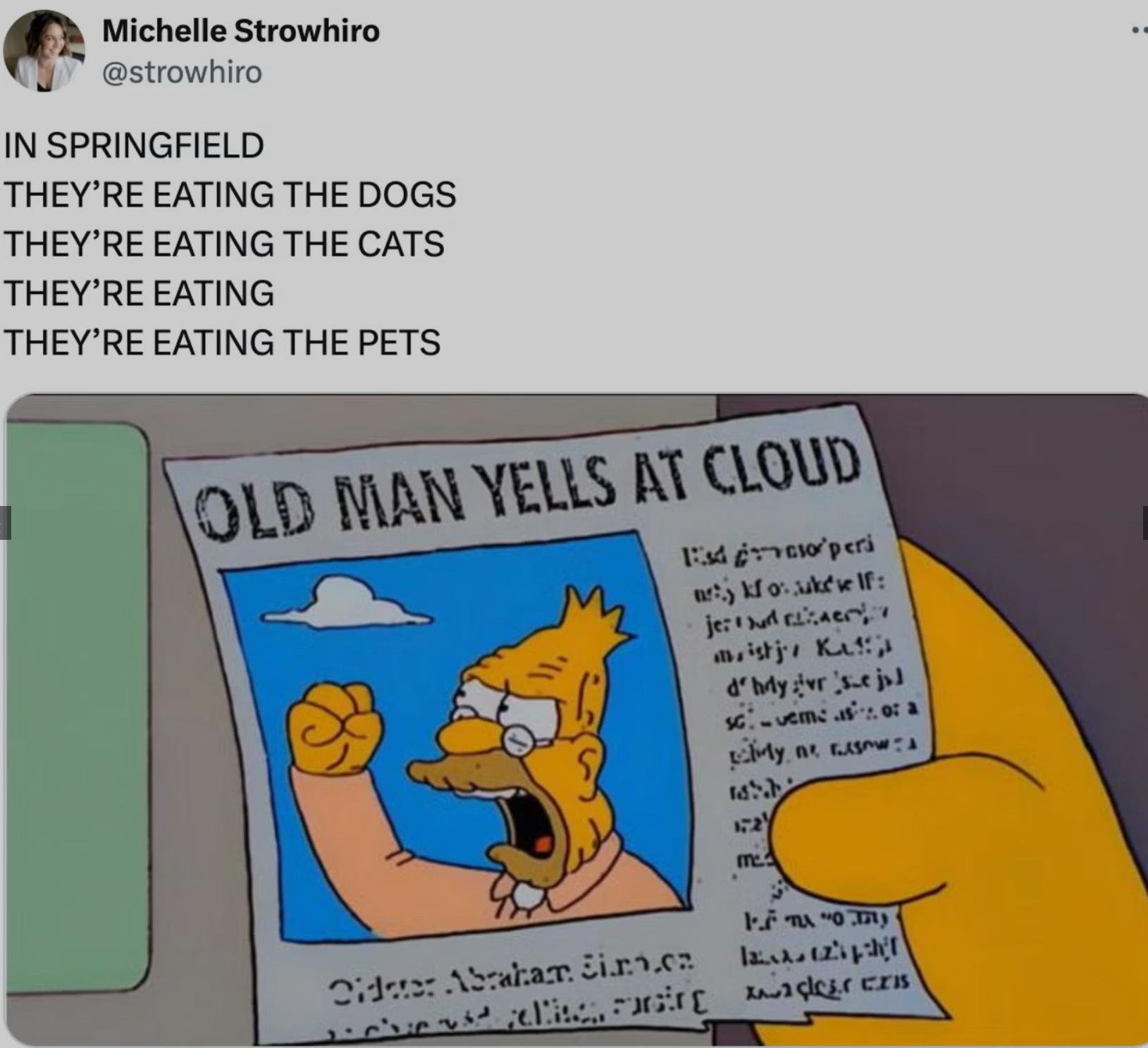 Springfield Ohio - ducks and pets missing, crime way up, woodpecker's ...