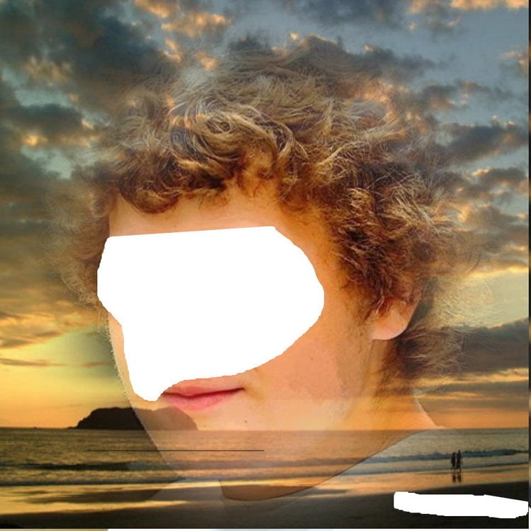 How to fade edges of image? - Paint.NET Discussion and Questions ...