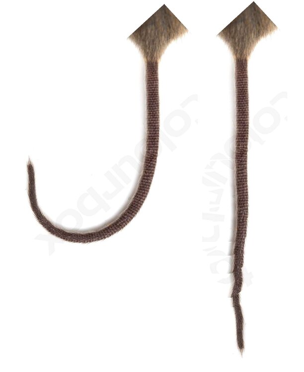 Are there bone tools to modify animal tail bones in a straight line ...