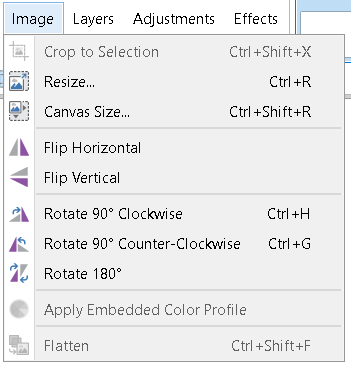 Shortcut for the "Flip" tool? - Paint.NET Discussion and Questions ...