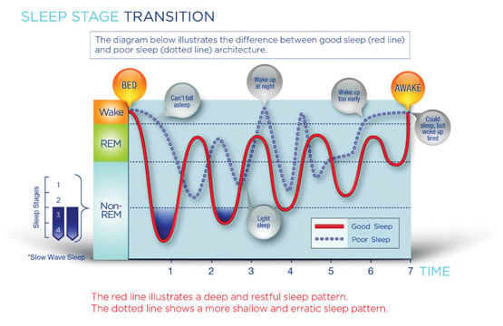 What is the sleep cycle? - Symptoms and self-care - Surviving ...