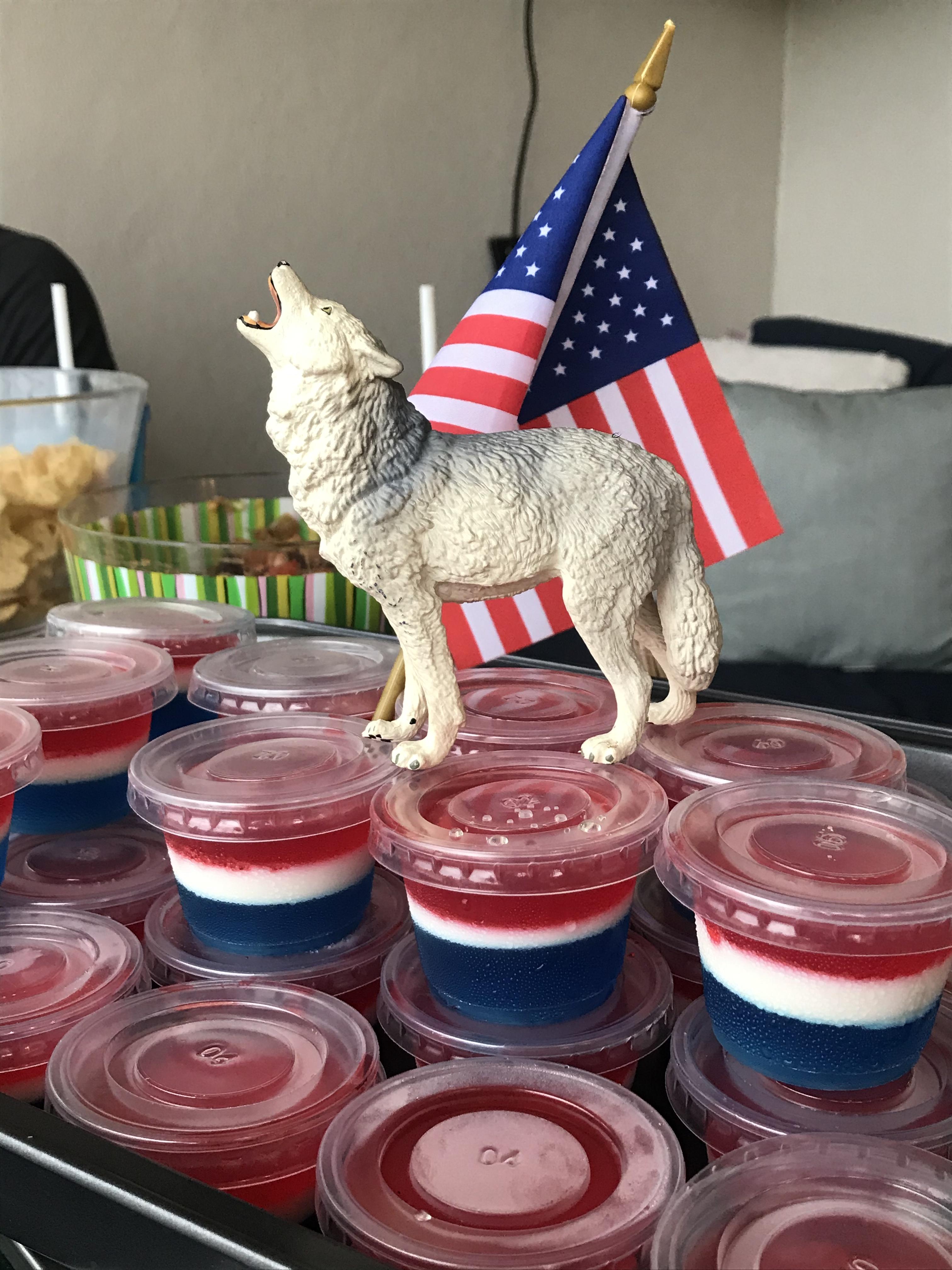 HAPPY BIRTHDAY AMERICA!!!!! - Ramble On - Led Zeppelin Official Forum