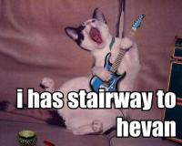 Cat - Led Zeppelin Official Forum