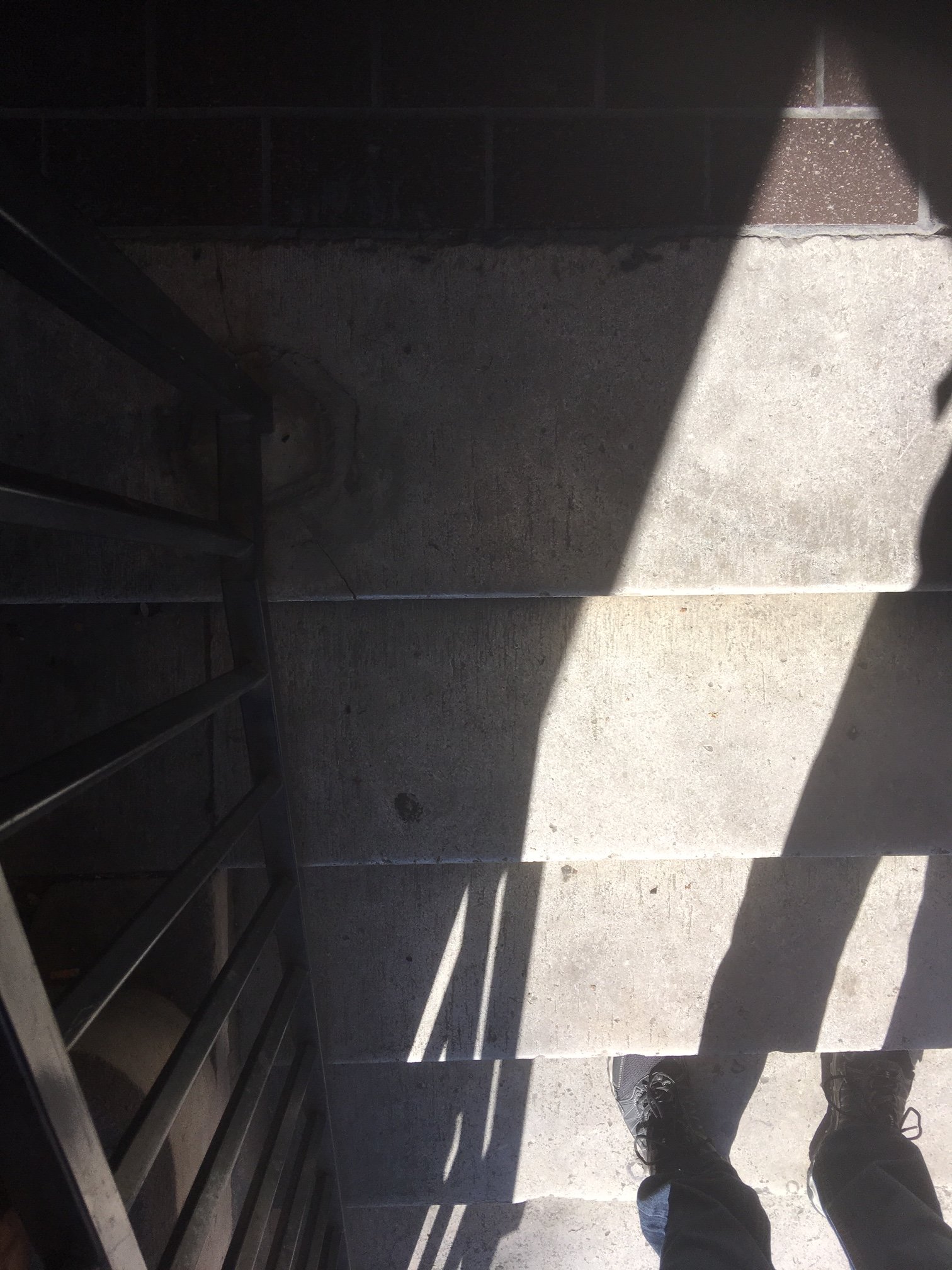 shadows on the steps - JFK Assassination Debate - The Education Forum
