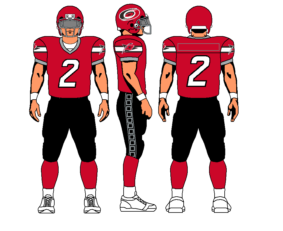 NHL to NFL concepts - Concepts - Chris Creamer's Sports Logos Community ...