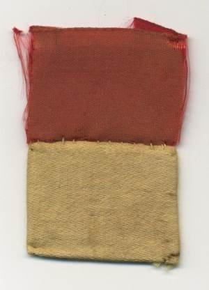 Suffolk regiment flash - Uniforms,Cap Badges and Insignia - The Great ...