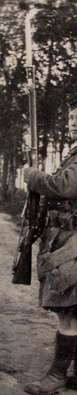 Lee Metford Rifles - Other Equipment - The Great War (1914-1918) Forum