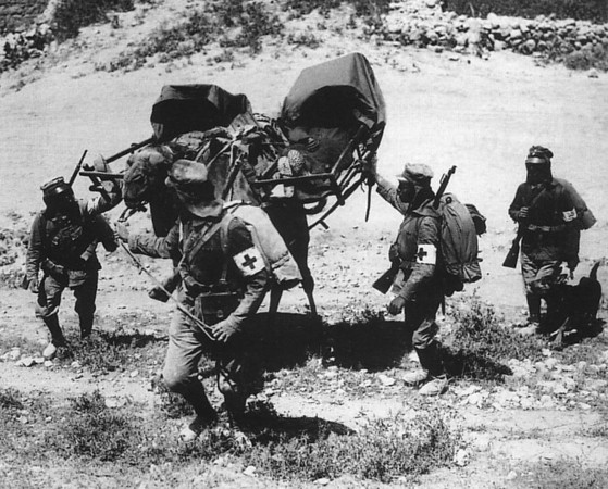 Cacolet in Action - Salonika & The Balkans - The Great War (1914-1918 ...
