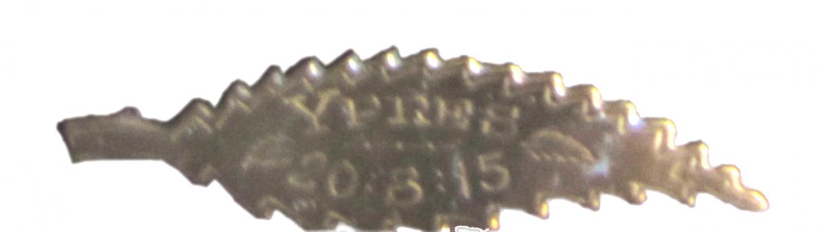 Ypres leaf emblem - Uniforms,Cap Badges and Insignia - The Great War ...