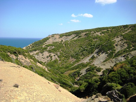 Kiretch Tepe Sirt - Gallipoli - The Great War (1914-1918) Forum