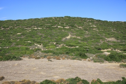 Position on Kiretch Tepe Sirt - Page 2 - Gallipoli - The Great War ...
