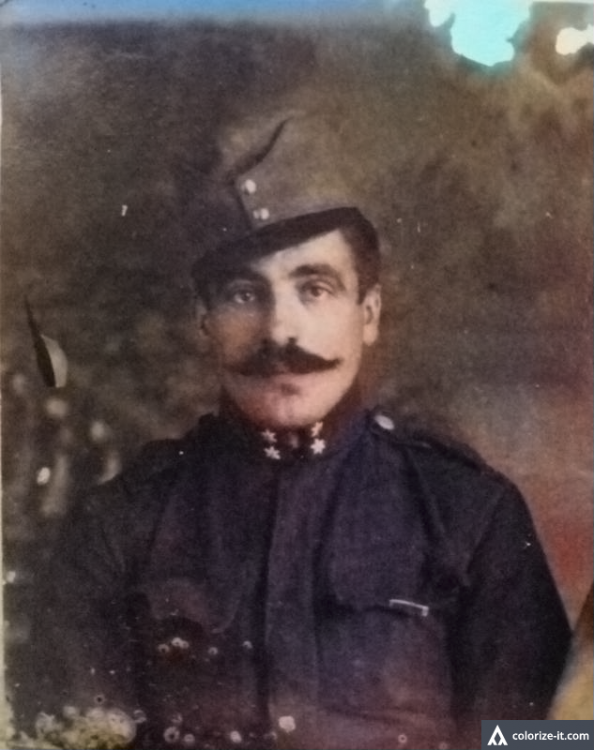 Honved uniform? - Uniforms,Cap Badges and Insignia - The Great War ...