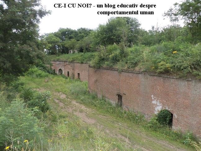 The Bucharest fortifications system - Aspects of the Romanian front ...