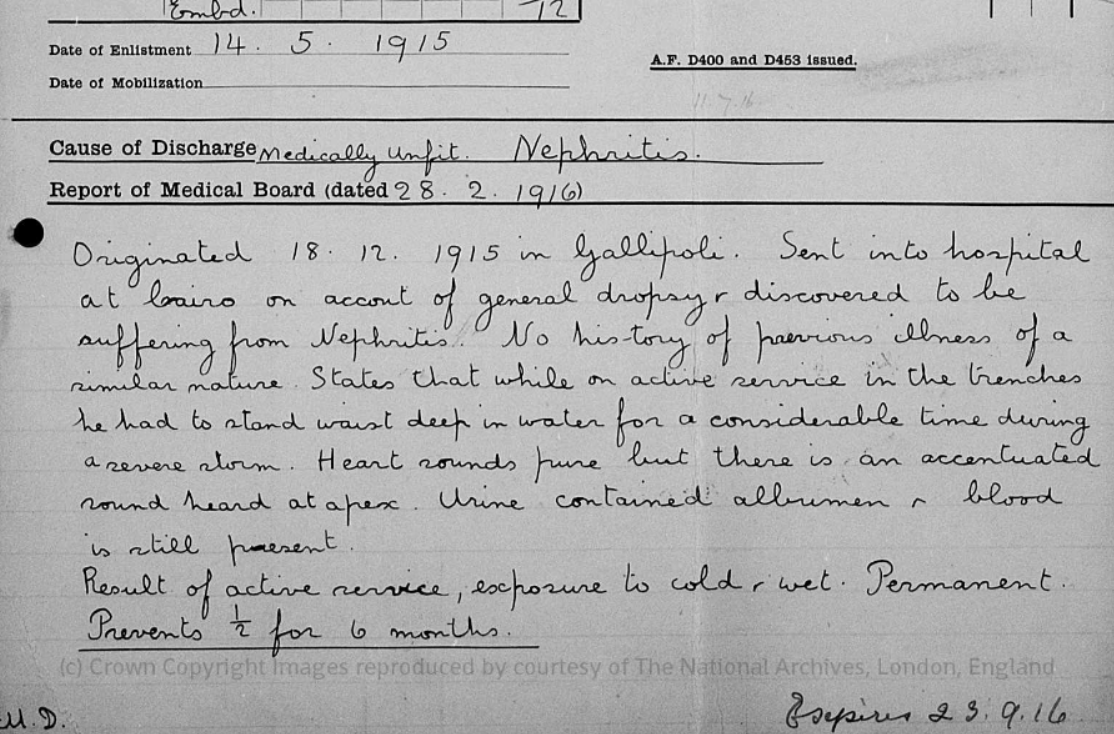 Nephritis - Medical Services (Home and Abroad) - The Great War (1914 ...