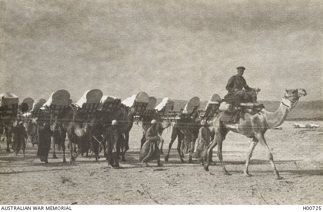 Imperial Camel Corps - Soldiers and their units - The Great War (1914 ...