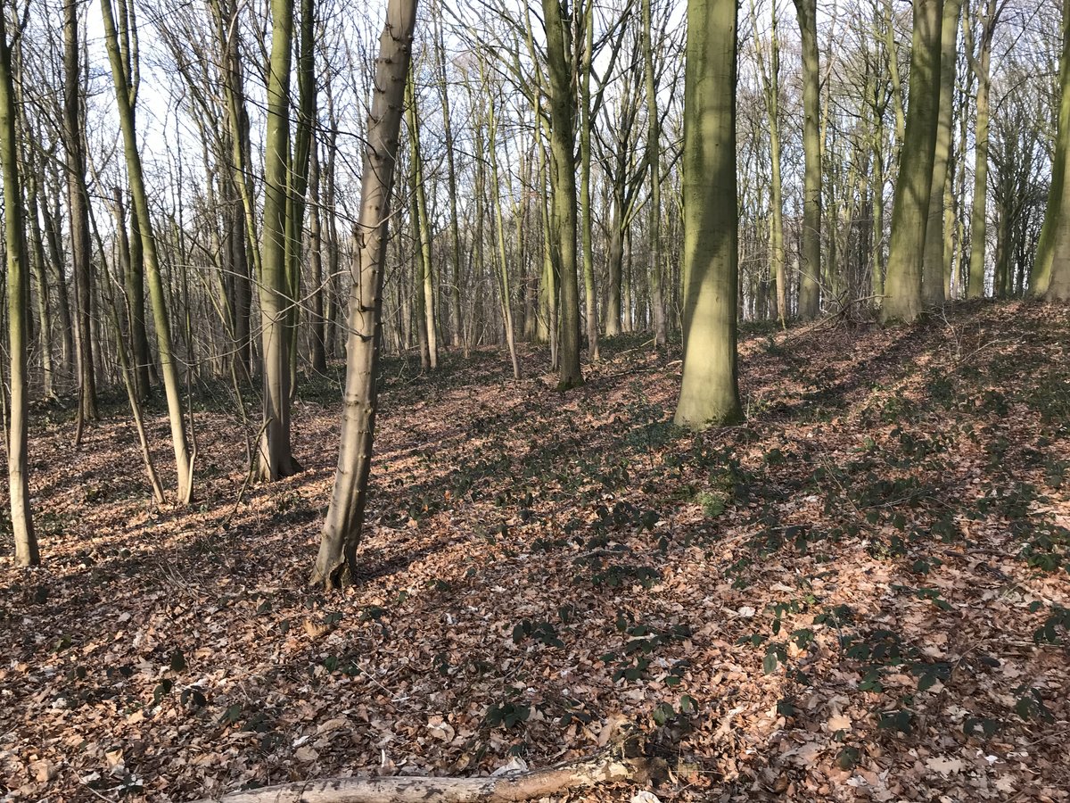 Hooge - B series Trenches - The Western Front - The Great War (1914 ...