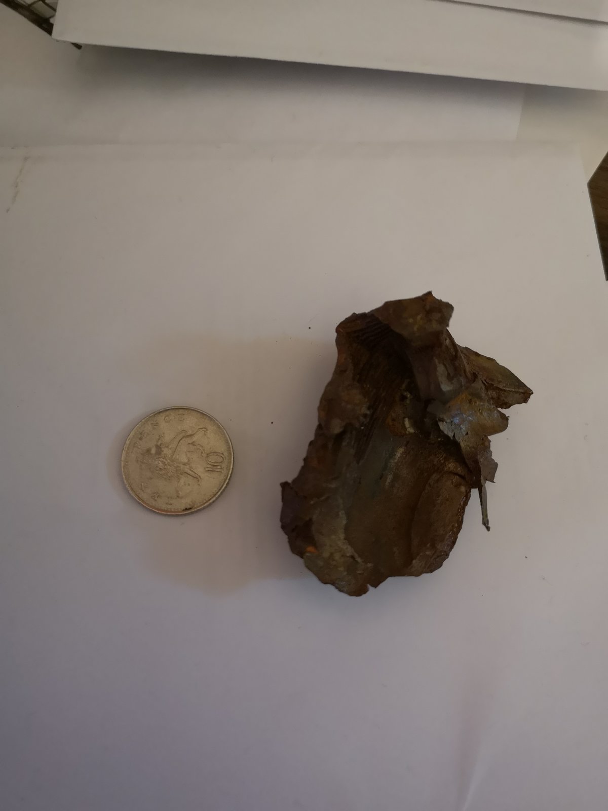 Mills bomb fragment? - Arms and other weapons - The Great War (1914 ...