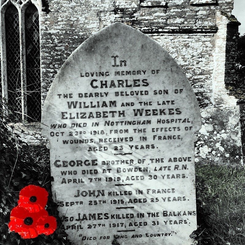 How five Devon brothers lost their lives between 1916 and 1919 - Paul ...