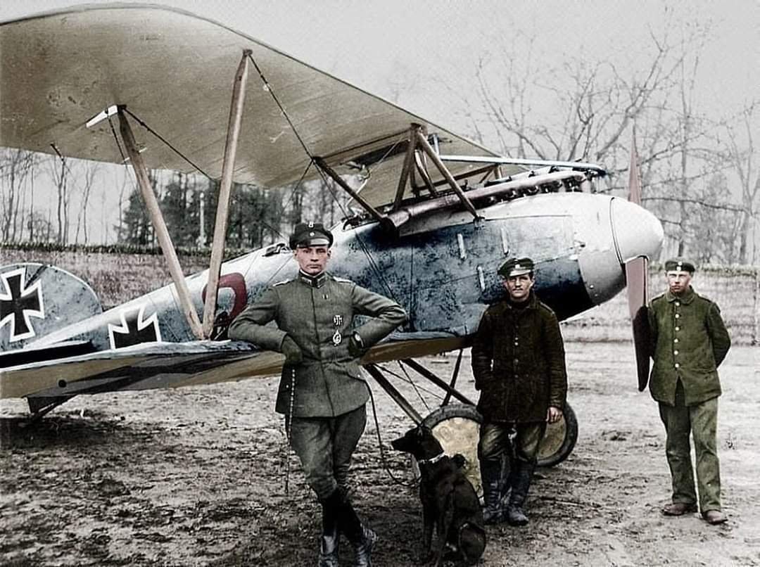 Albatross - Air personnel and the war in the air - The Great War (1914 ...