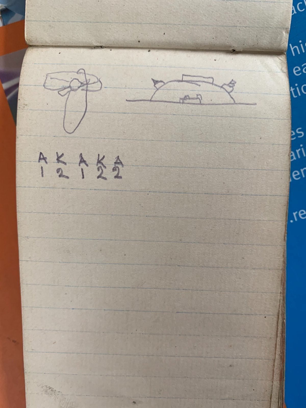 Diagrams and codes in field notebook - Interpreting documents - The ...