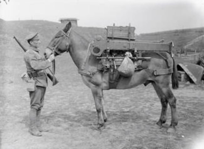 3.7 inch Mountain Howitzer Mule loads - Northumbrian Gunner meanderings ...