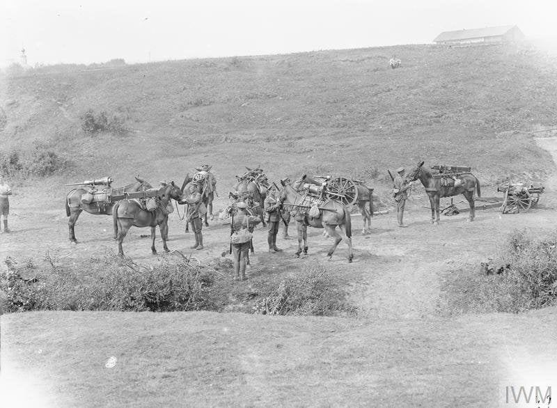 3.7 inch Mountain Howitzer Mule loads - Northumbrian Gunner meanderings ...