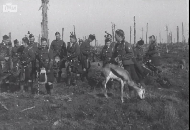 Scottish dirk - Soldiers and their units - The Great War (1914-1918) Forum