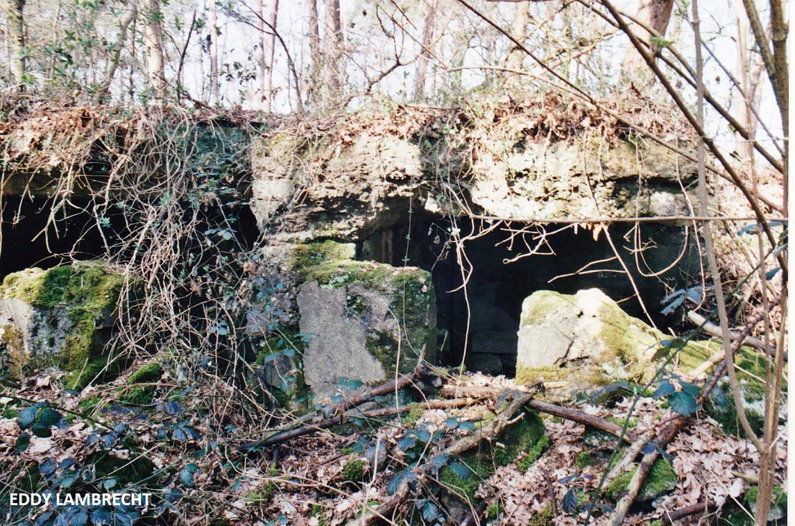 German bunkers at Twaalfgemeten Bos, near Wervikstraat, between Zwarte ...