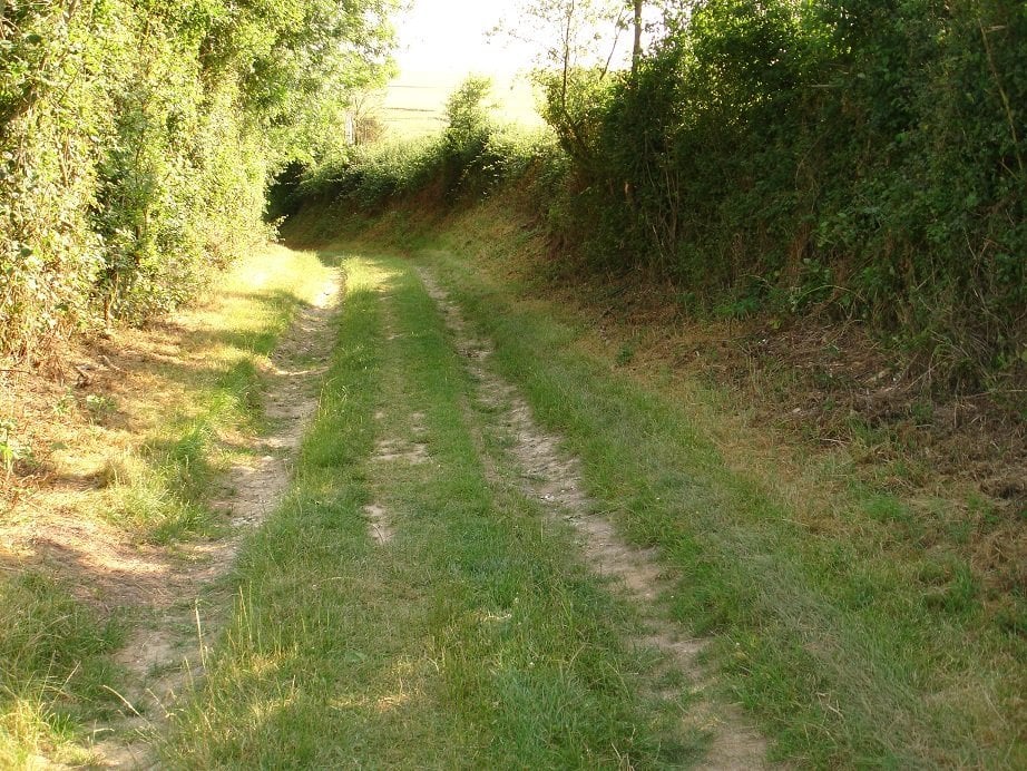 Sunken Road - Other Great War Chat - The Great War (1914-1918) Forum