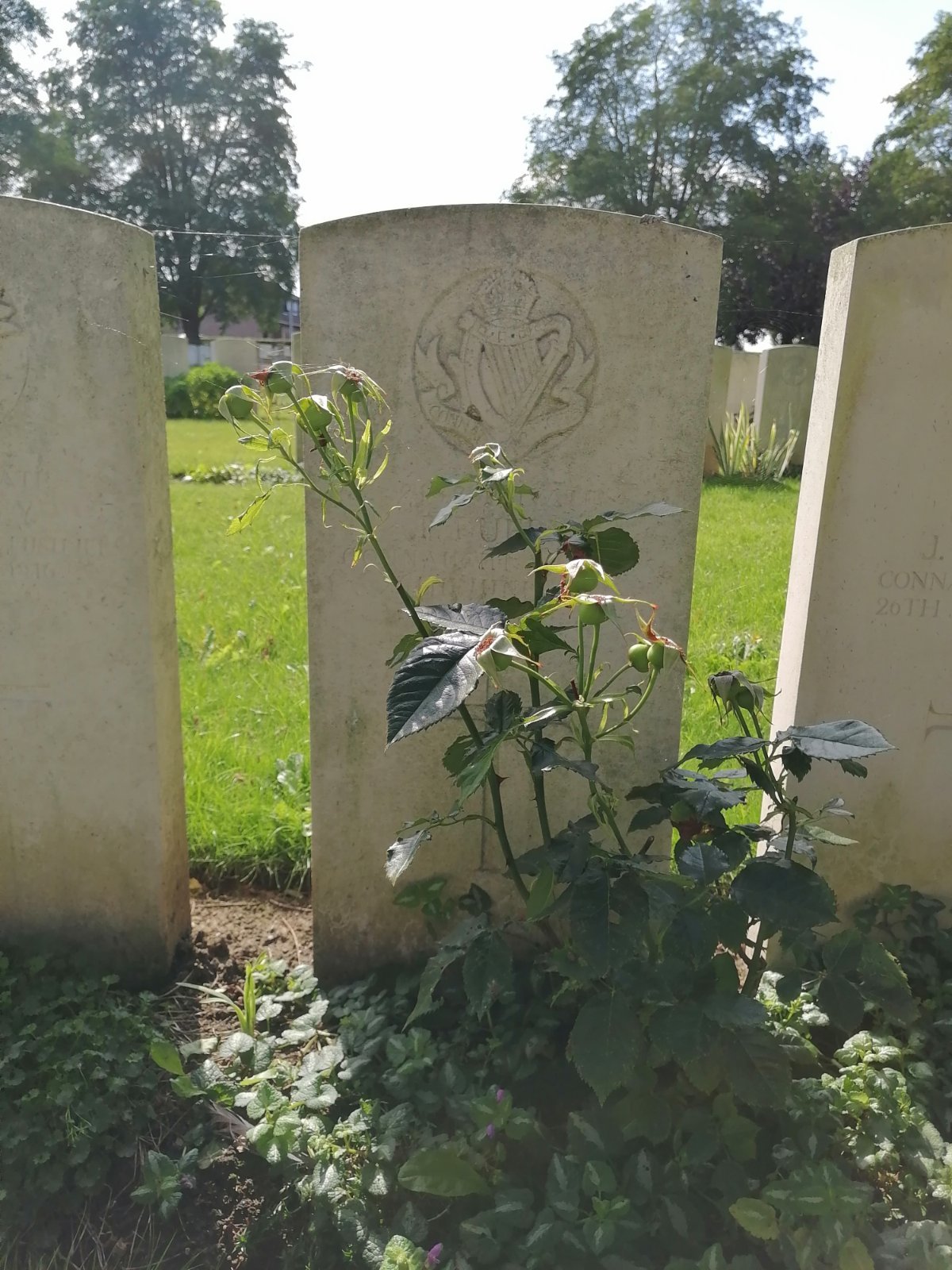Loos British Cemetery - Cemeteries and memorials - The Great War (1914 ...