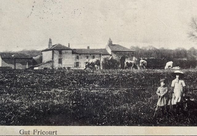 Fricourt area - The Western Front - The Great War (1914-1918) Forum