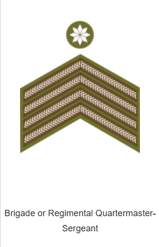 Australian soldier with crown badge lower sleeve - Page 2 - Uniforms ...