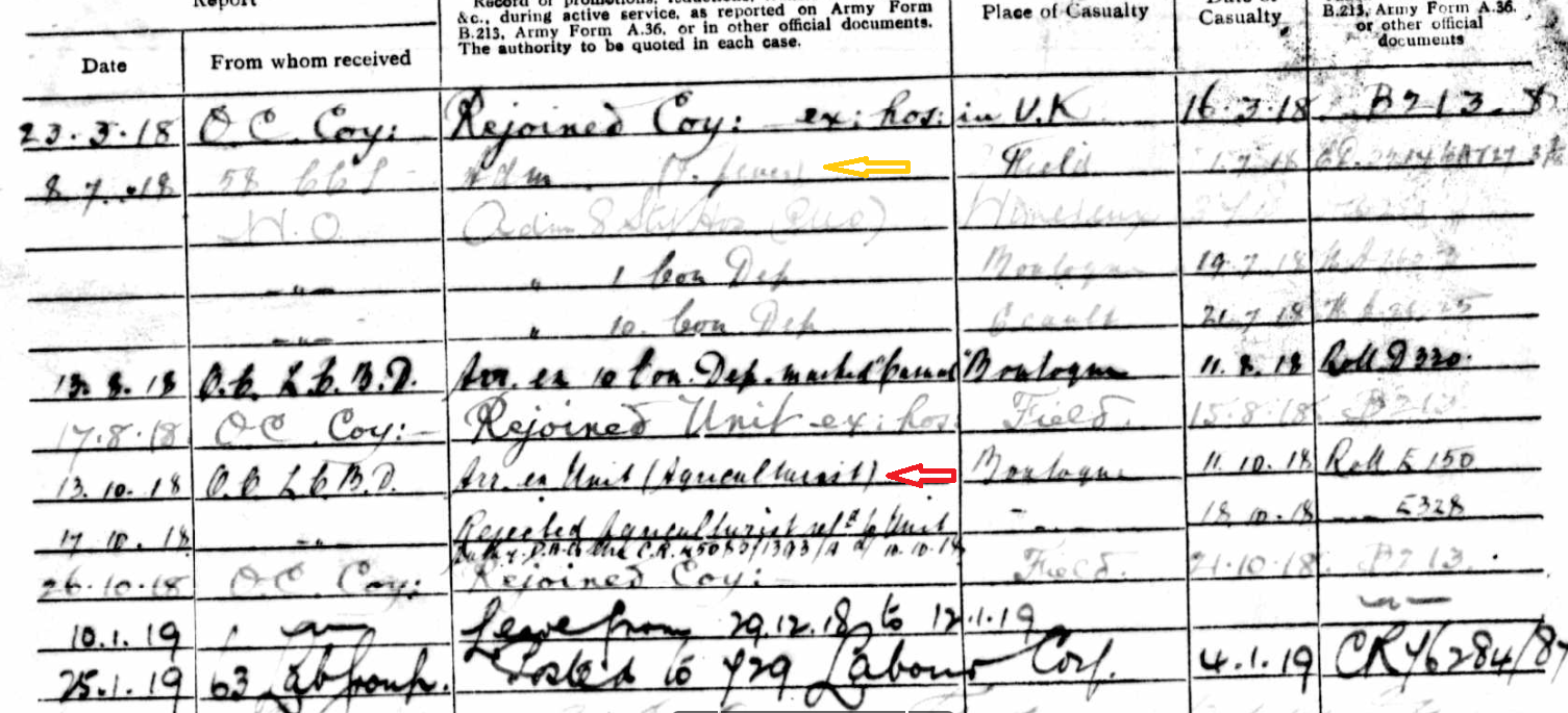 Interpreting Labour Corps Soldier's Records in Hospital, France 1918 ...