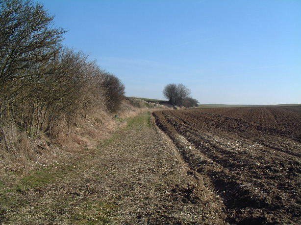Significance of "Queens Nullah" - The Western Front - The Great War ...