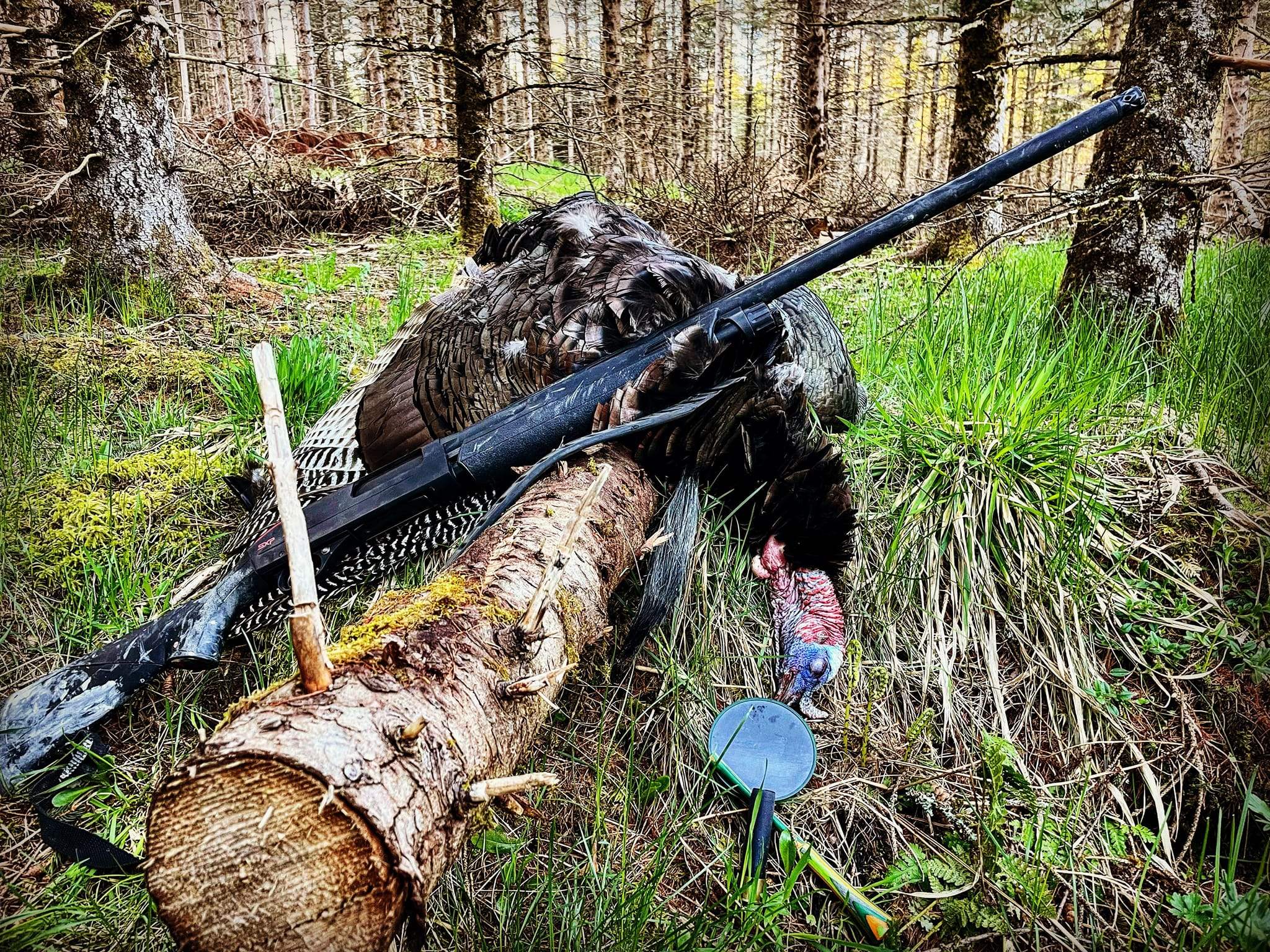 Des chasseurs de dindons dans la place ? - Les chasseurs-pêcheurs du ...
