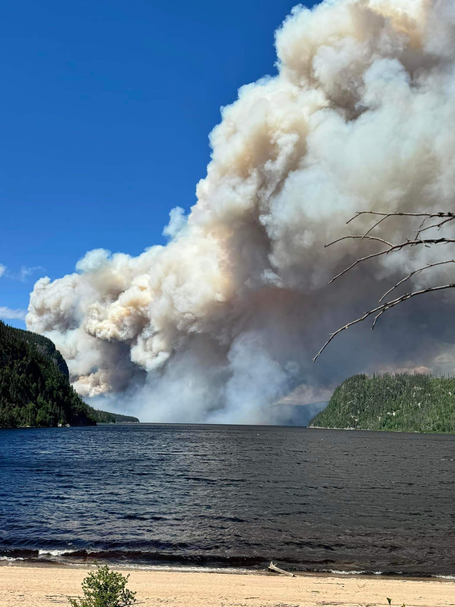 Feu de forêts - Autour d'la tasse de café ! - Pêche QC