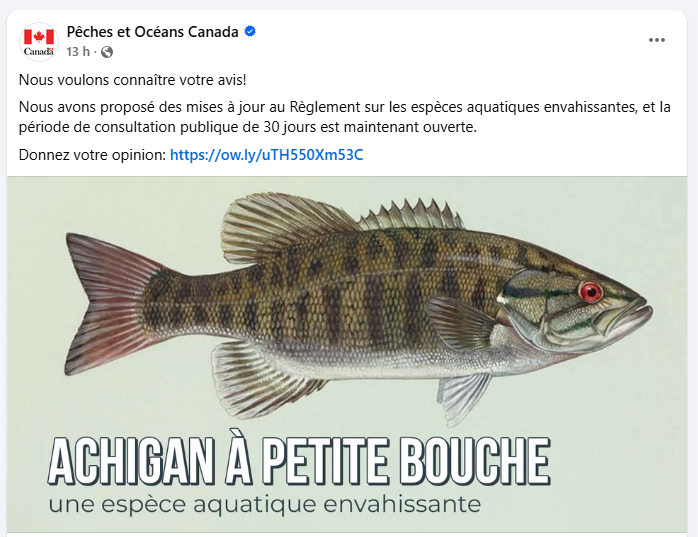 Achigan a petite bouche , espèces envahissante . - Autour d'la tasse de ...