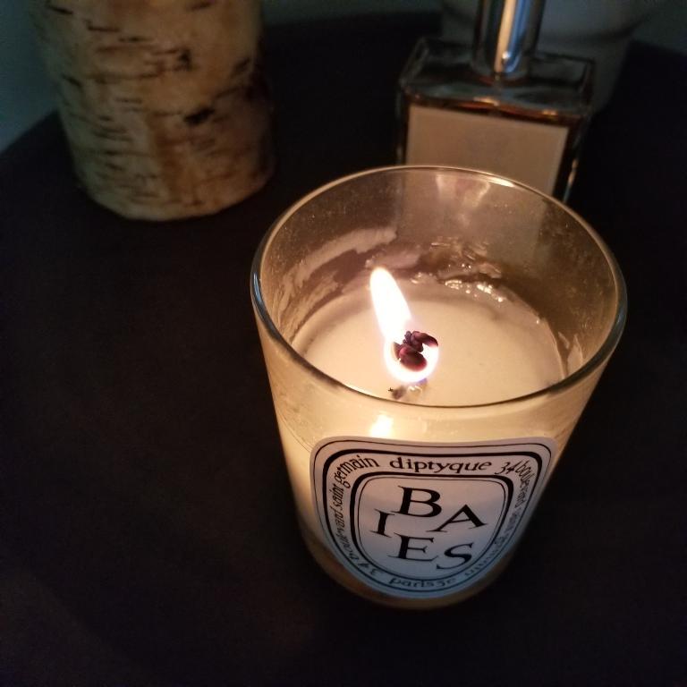 Looking for definitive wick testing procedure - Wax and Wick Tests ...