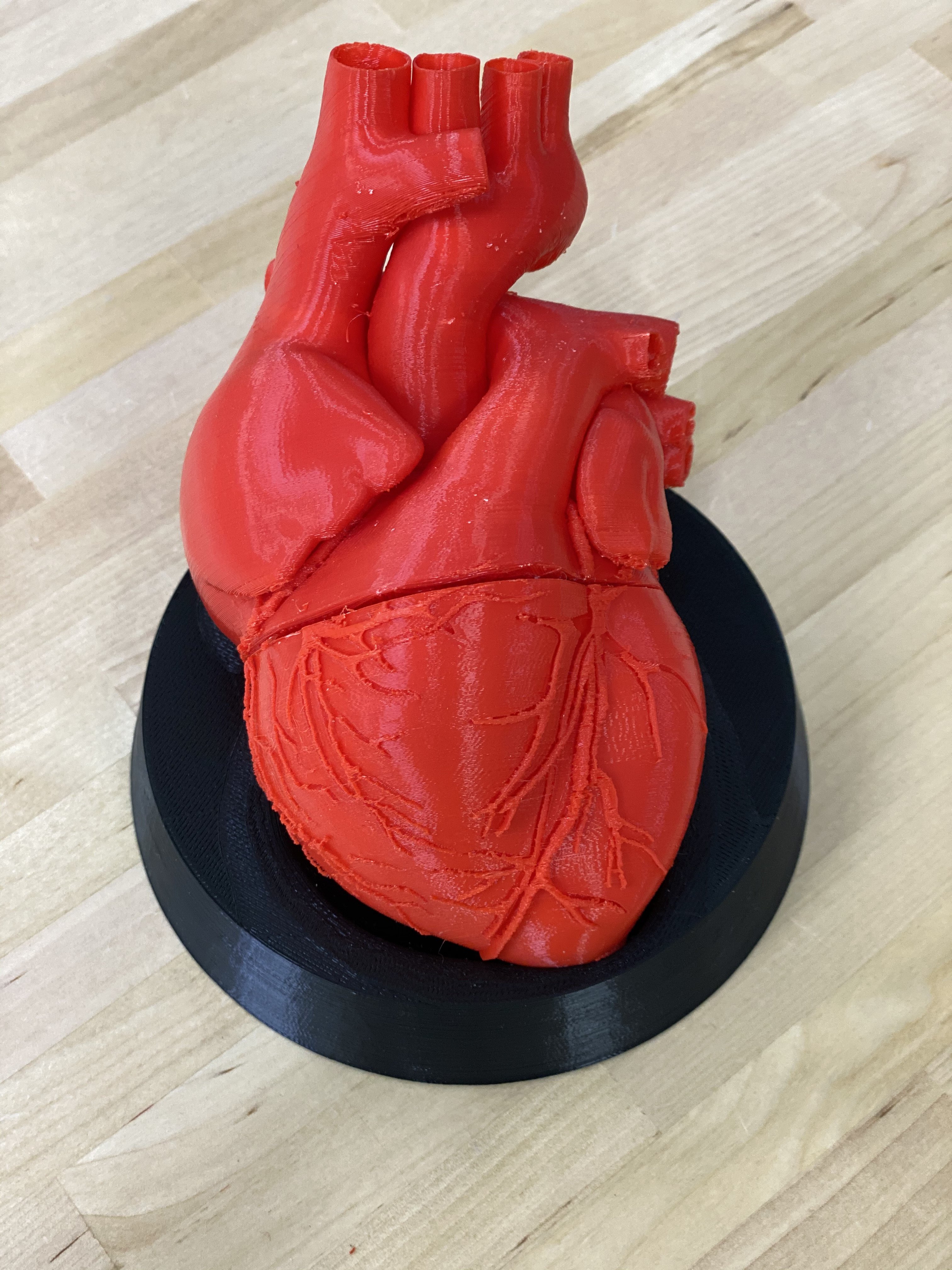 Anatomical heart box - Heart - embodi3D.com