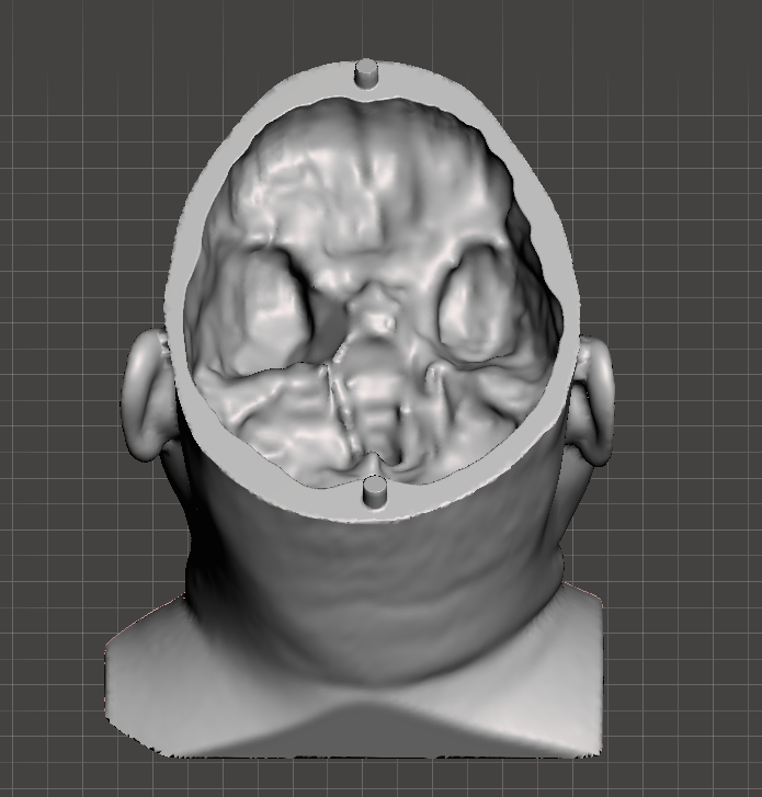 Head Model with segmented brain for training - Brain - embodi3D.com