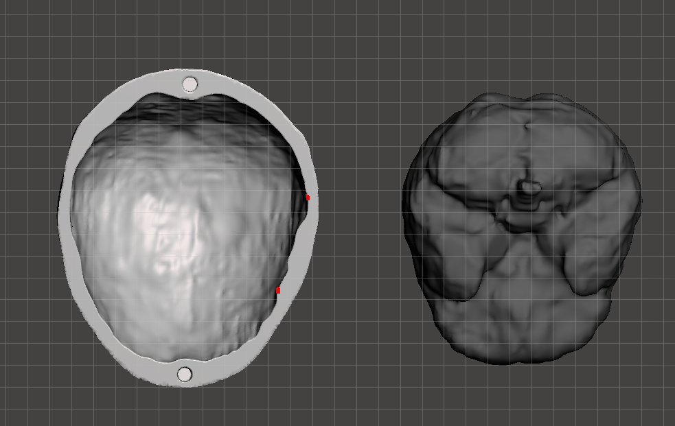 Head Model with segmented brain for training - Brain - embodi3D.com