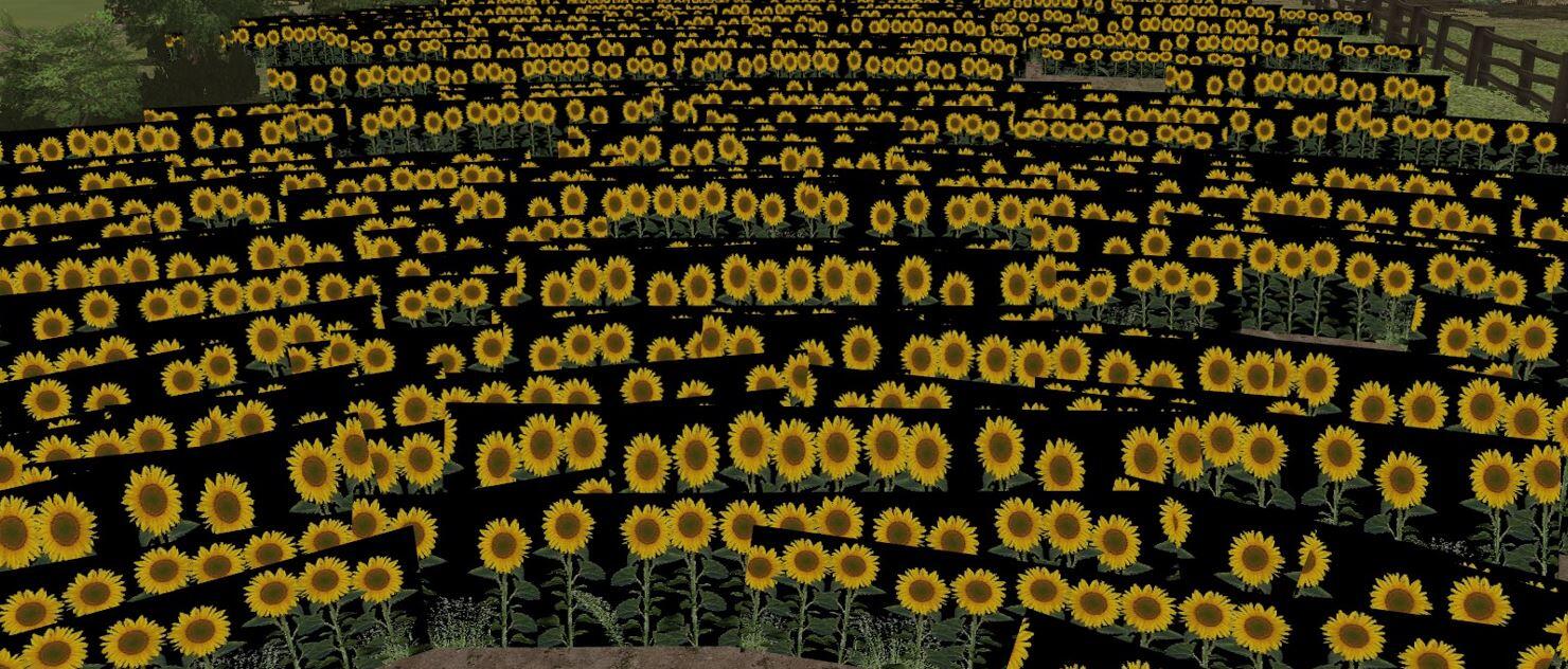 Trying to modify a .bmp file with gimp but it shows the black pixels ...