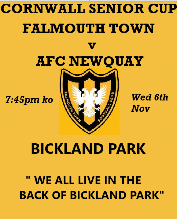 CORNWALL SENIOR CUP FALMOUTH TOWN v NEWQUAY AFC - The Pitching In ...