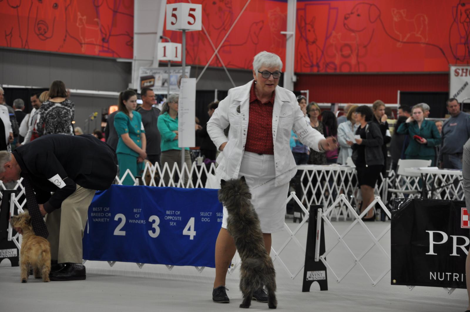Pat Hassey and Bob - Other Clubs - CRCTC