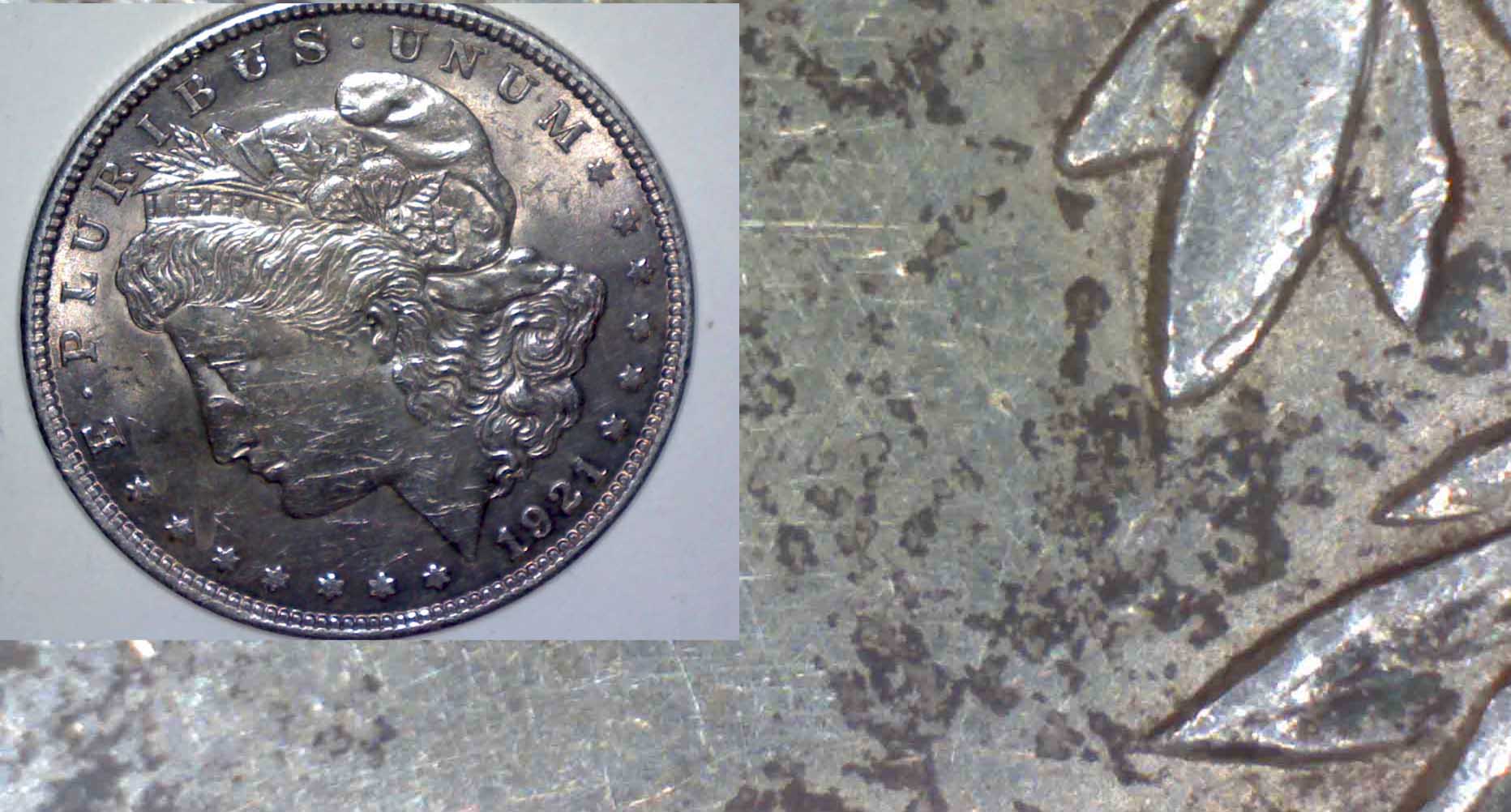 Update: New Digital Microscope examples - Jack Robinson11's Journal ...