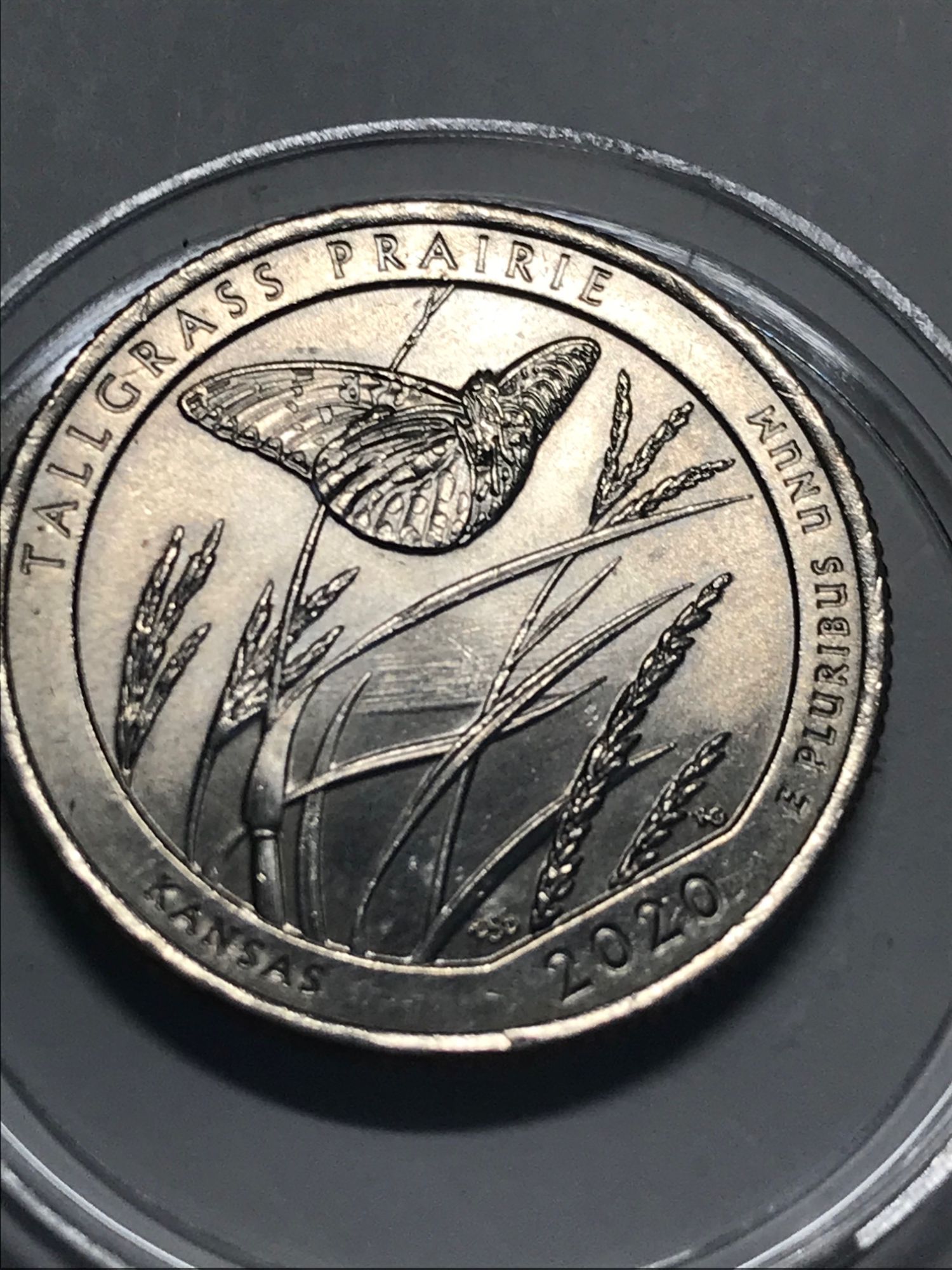 Feeder finger damage and strike through? - Newbie Coin Collecting ...