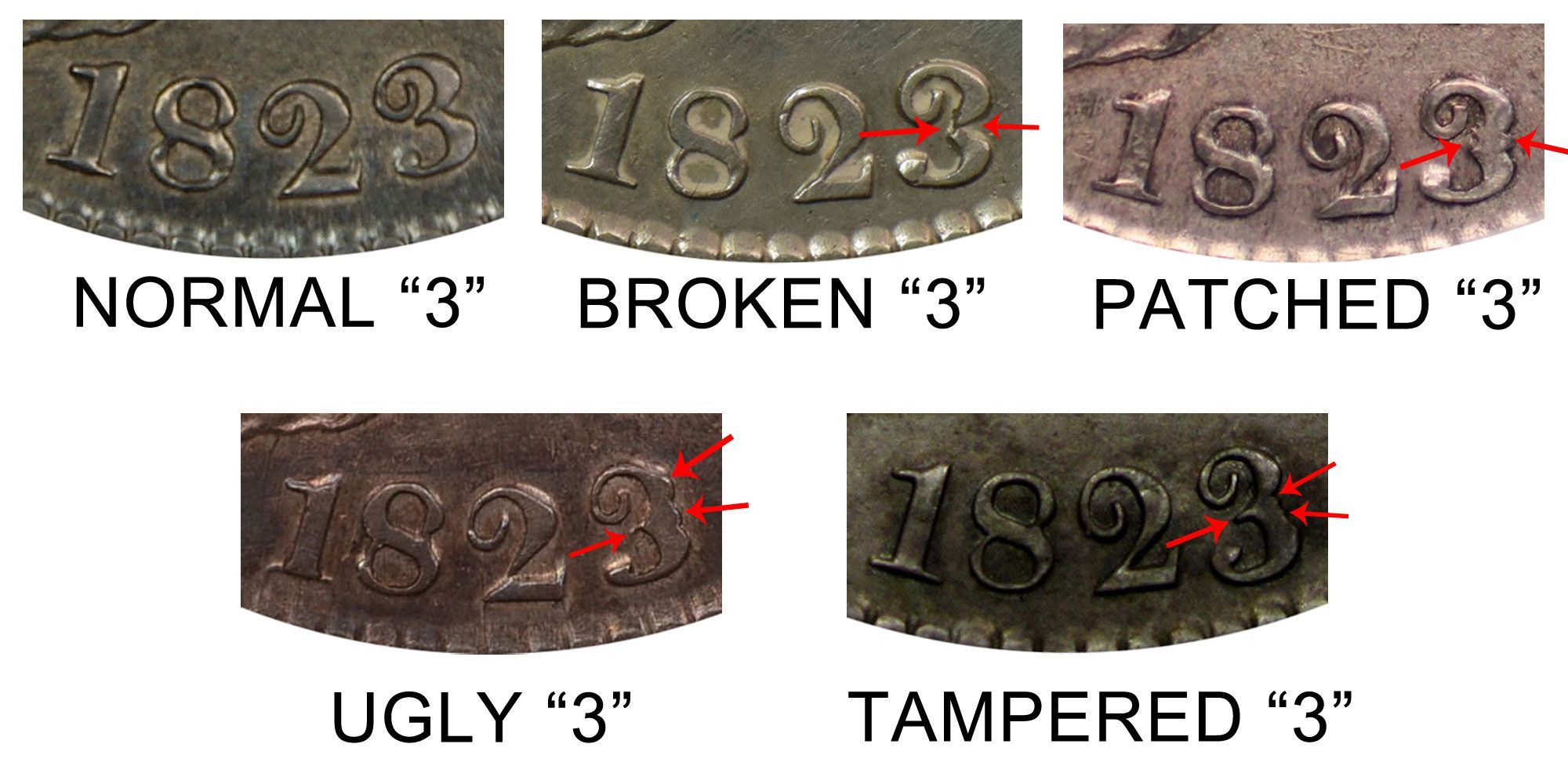 Die Varieties for Early Half Dollar - Newbie Coin Collecting Questions ...