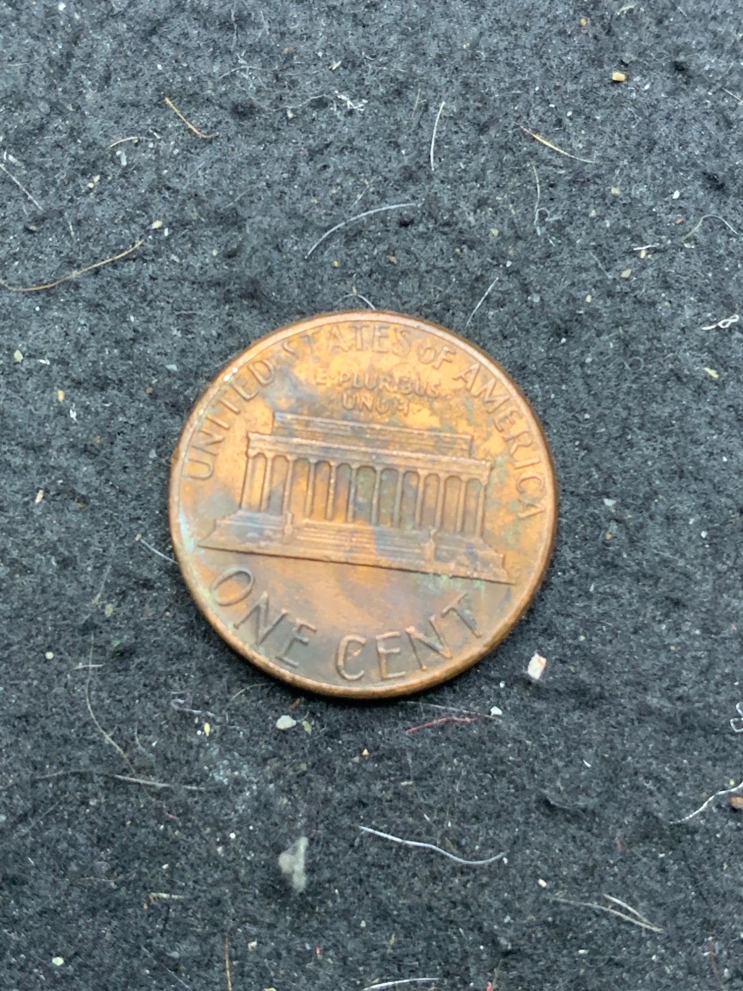 1983 Lincoln Cent Bleeding Ear - Newbie Coin Collecting Questions - NGC ...