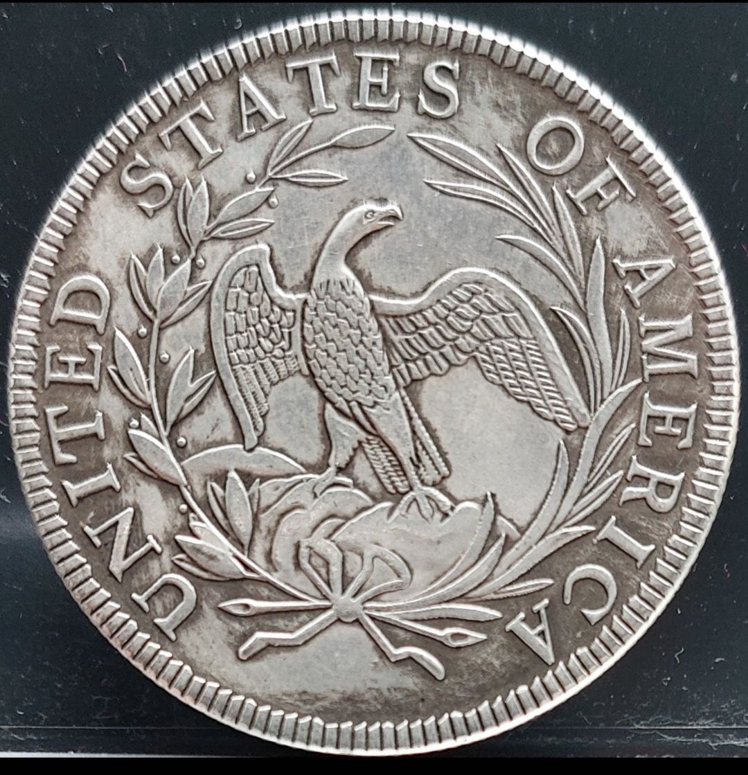 1795 Silver Dollar - Draped Bust Off-center - Newbie Coin Collecting ...