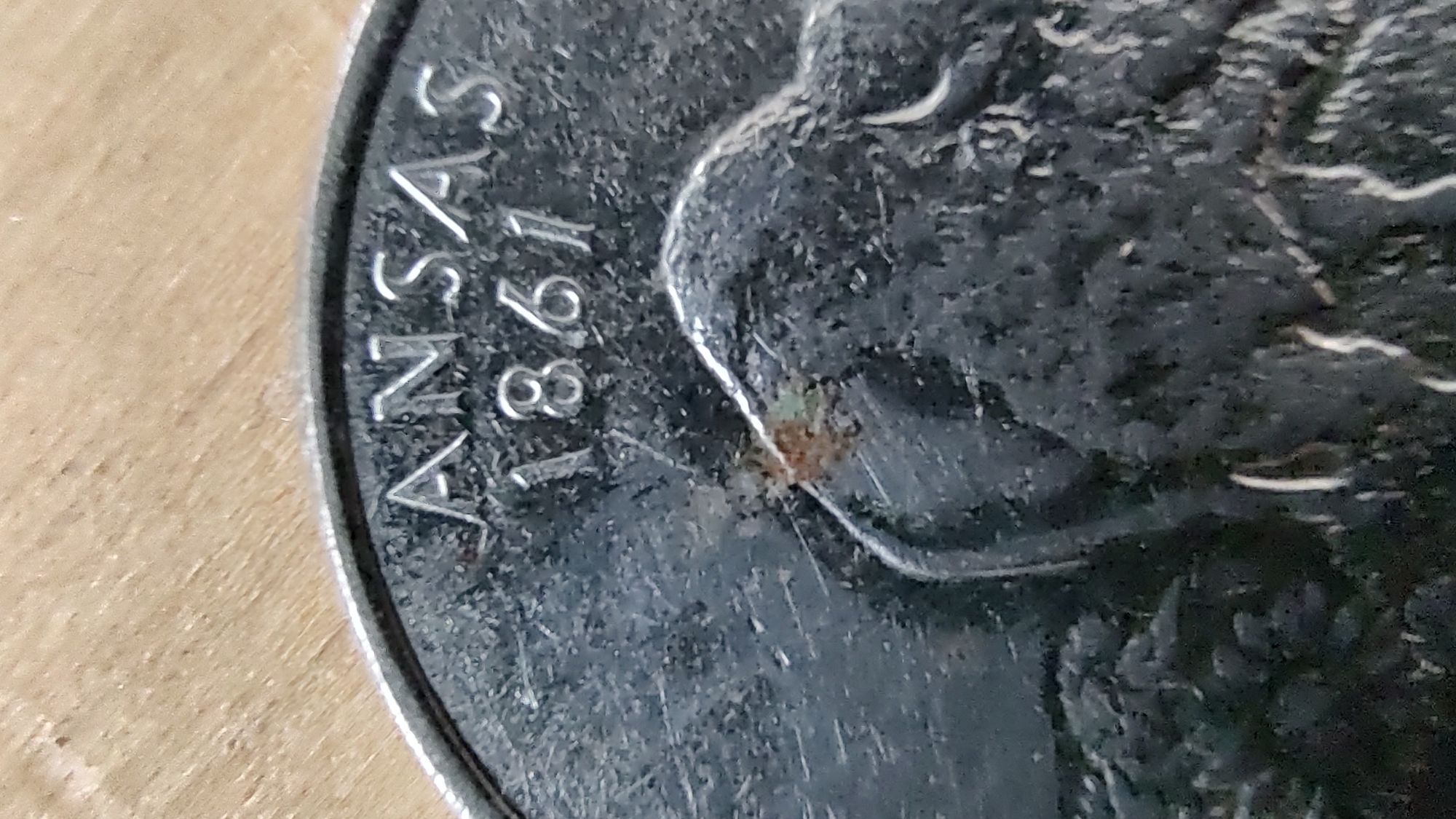 2005 Kansas Quarter Error - Newbie Coin Collecting Questions - NGC Coin ...